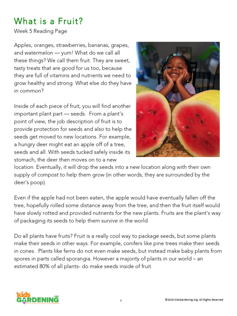 Understanding Fruits and Their Seeds | PDF | Fruit | Tomato