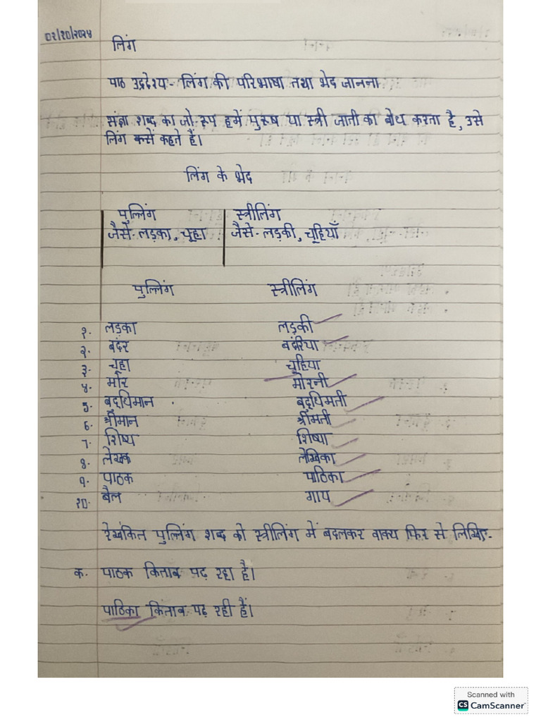 Hindi Notes | PDF