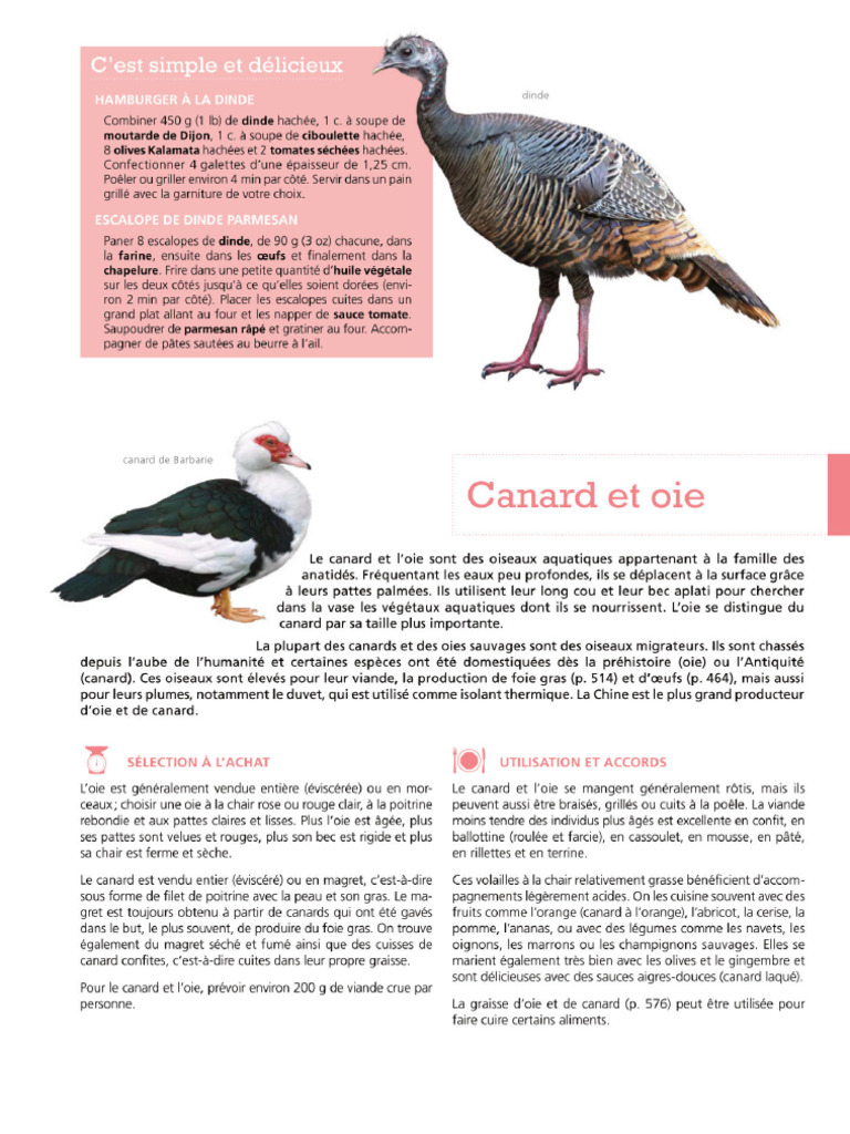 Canard Et Oie | PDF