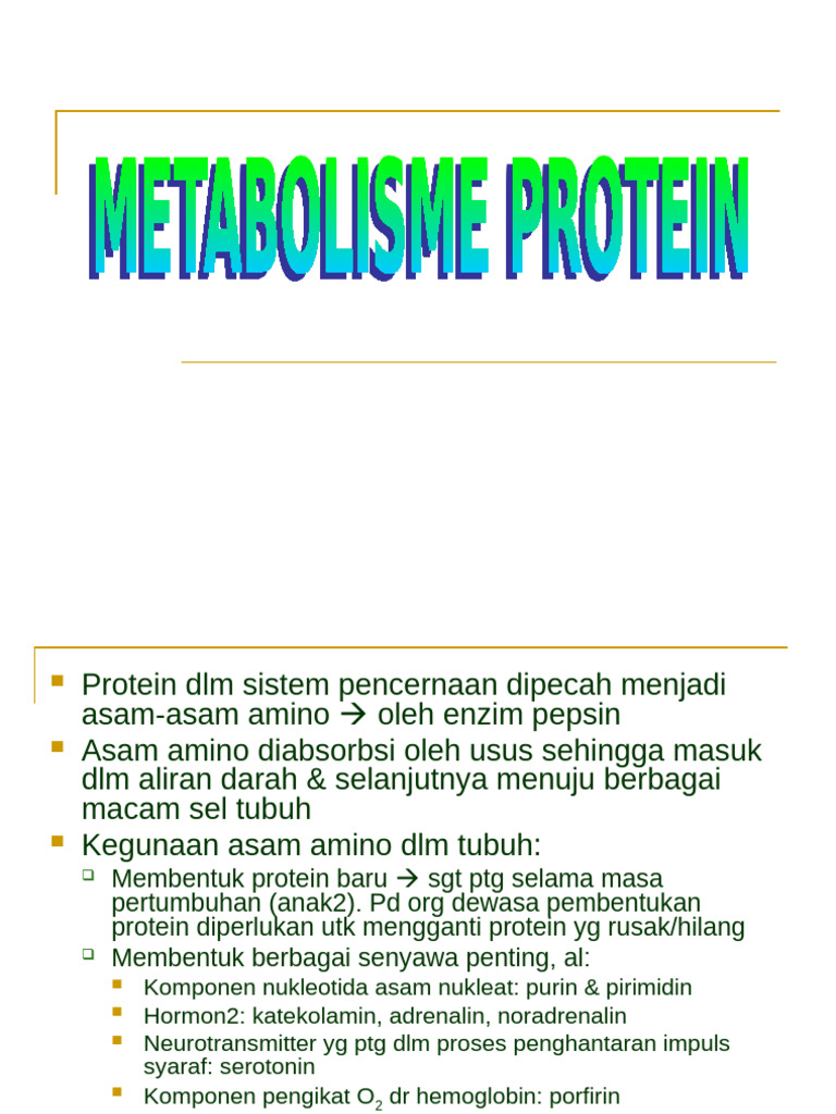 Metabolisme Protein | PDF