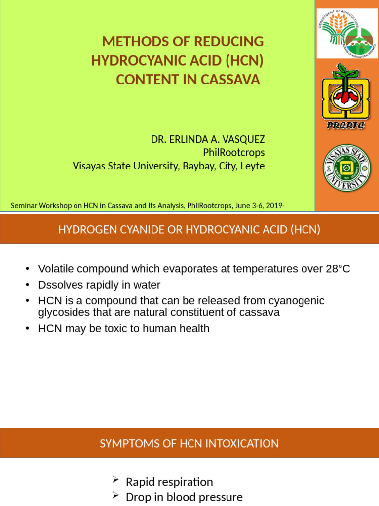 Reducing HCN in Cassava | PDF | Cyanide