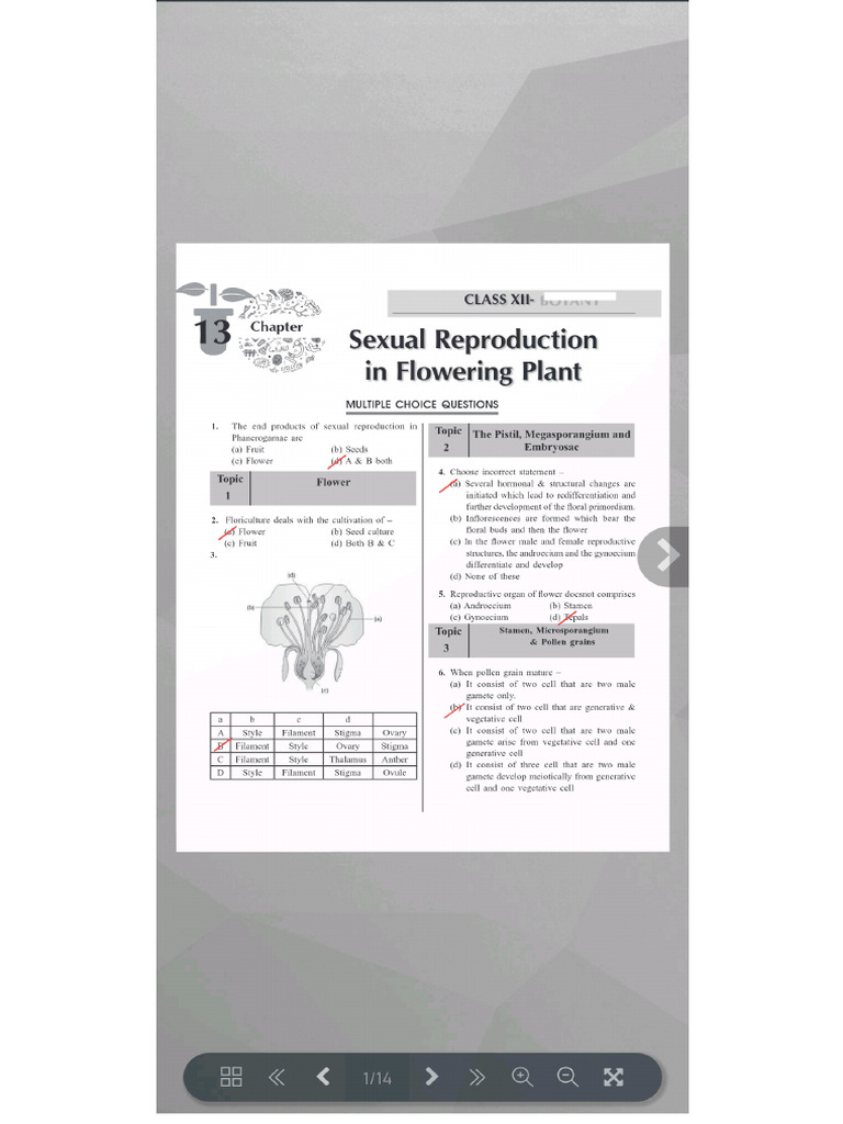 Sexual Reproduction in Flowering Plants | PDF
