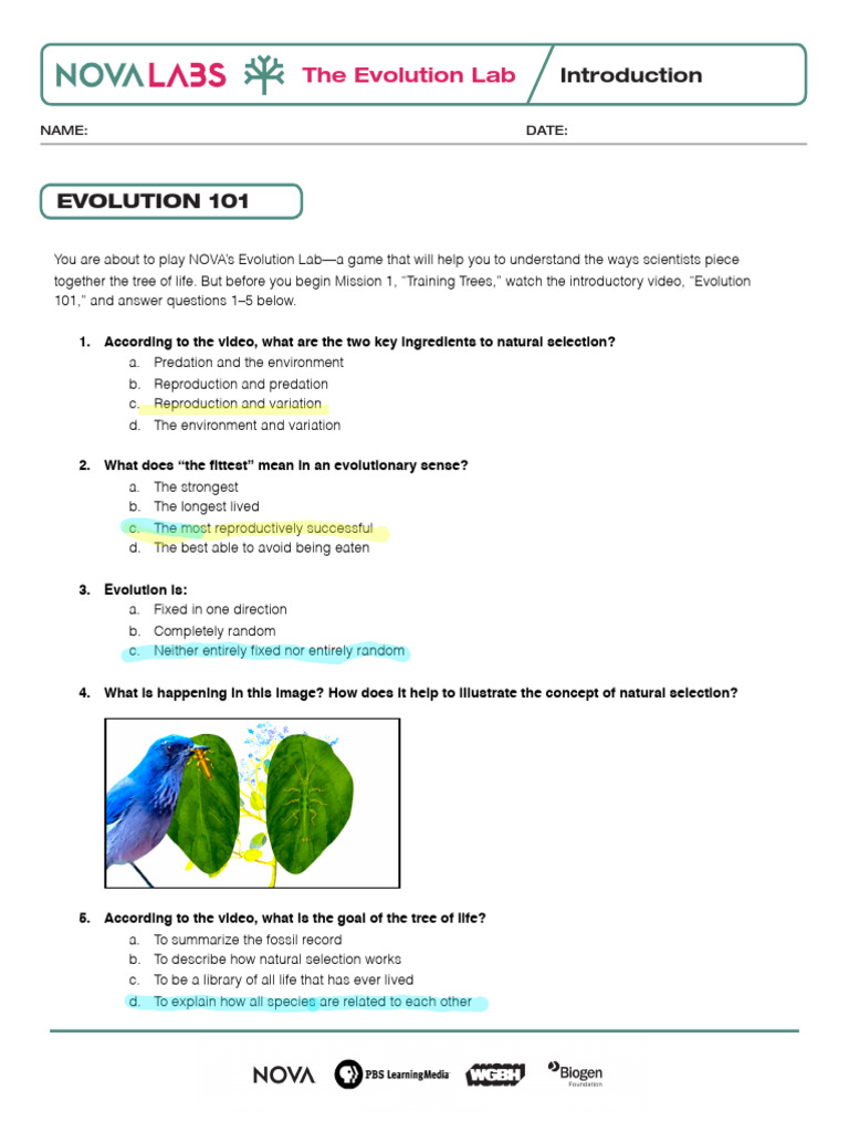 Biology NOVA - Evolution - Lab - Worksheets | PDF | Dinosaurs | Evolution