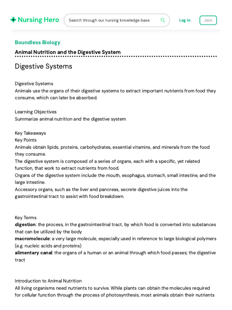 Animal Digestive Systems - Boundless Biology | PDF | Digestion | Small ...