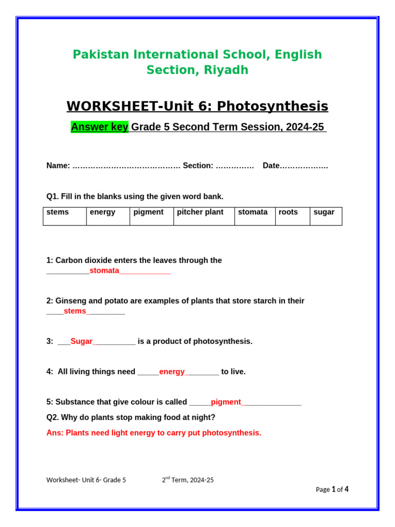 Grade 5-Unit 6 (Photosynthesis) - Worksheet - Answer Key | PDF ...