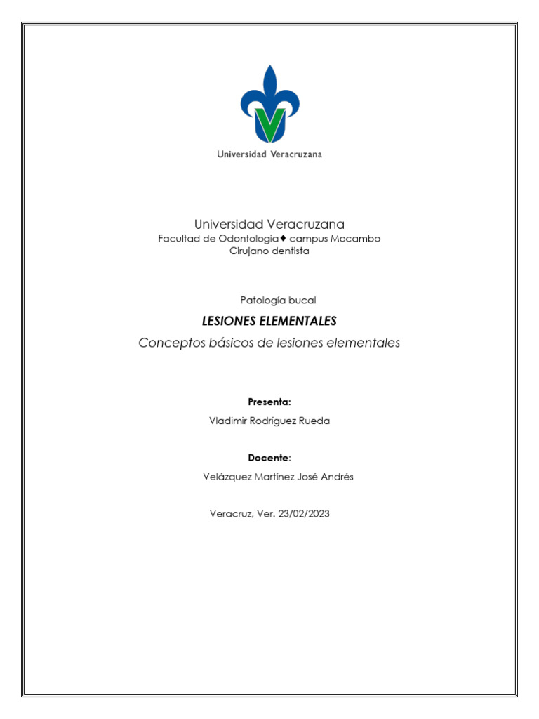 Conceptos Básicos de Lesiones Elementales Vladimir | PDF | Clínica | Ciencias de la Salud
