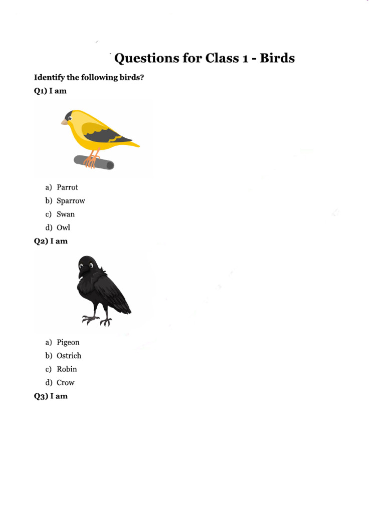 Birds - Worksheet - Grade 2 | PDF