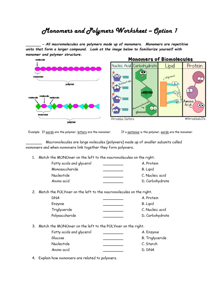 Macromolecules worksheet (1) | PDF | Macromolecules | Carbohydrates