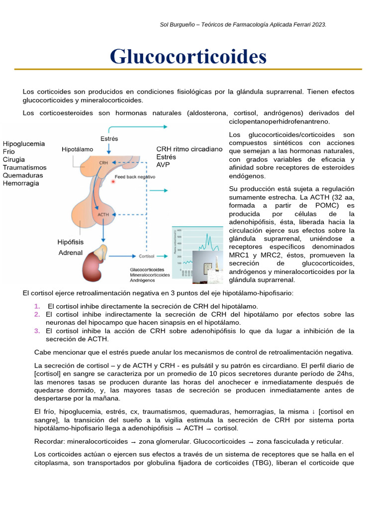 Efectos y Mecanismos de Corticoides | PDF | Glucocorticoides | Cortisol