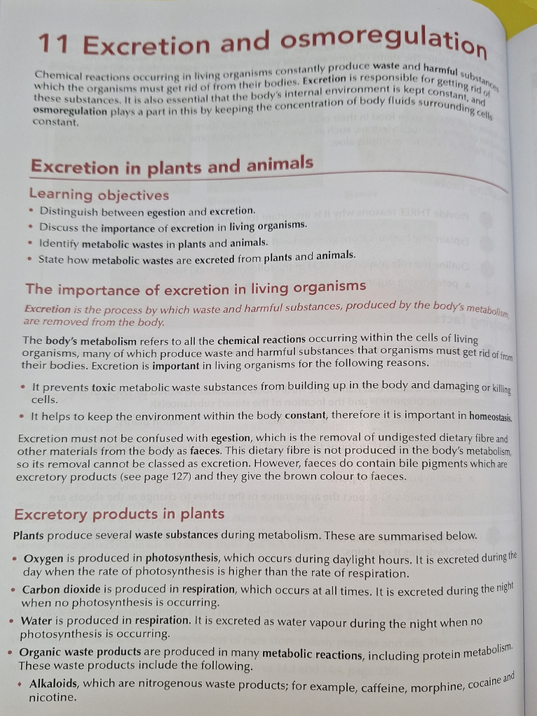 Excretion and Osmoregulation | PDF