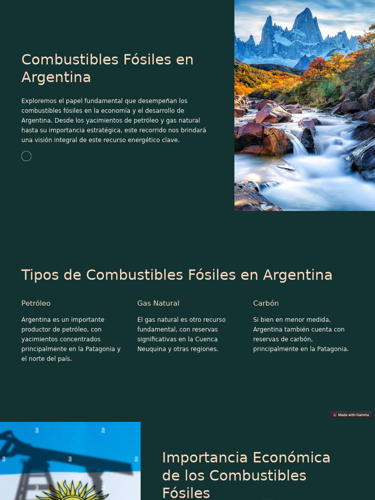 Combustibles Fosiles en Argentina 1 | PDF | Sustentabilidad ...