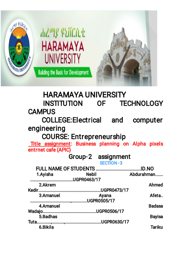 Entrepreneurship Assignment | PDF