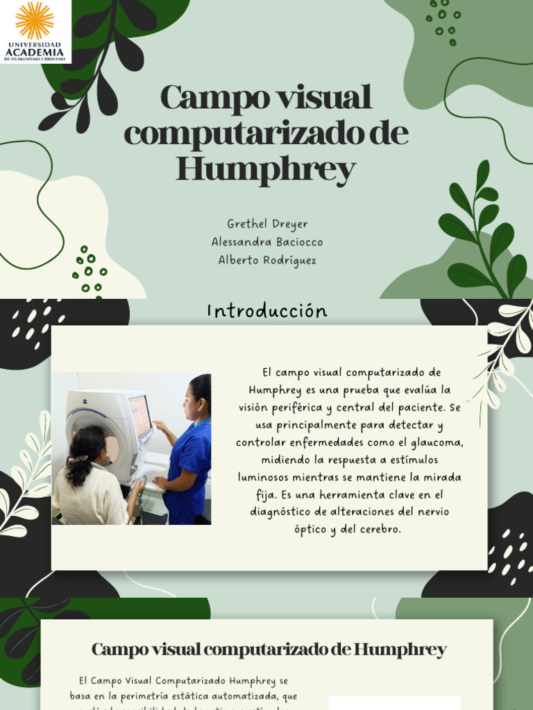 Campo Visual Computarizado Humphrey | PDF | Percepción visual | Glaucoma
