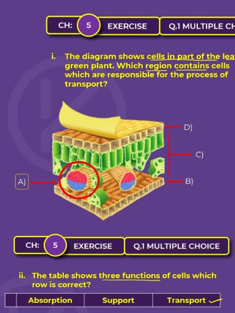 Exercise # 333 Tissues Organ and Organ System | PDF