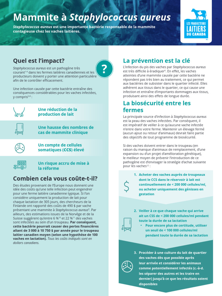 Prévention de la mammite à Staphylococcus aureus | PDF | Bactérie ...