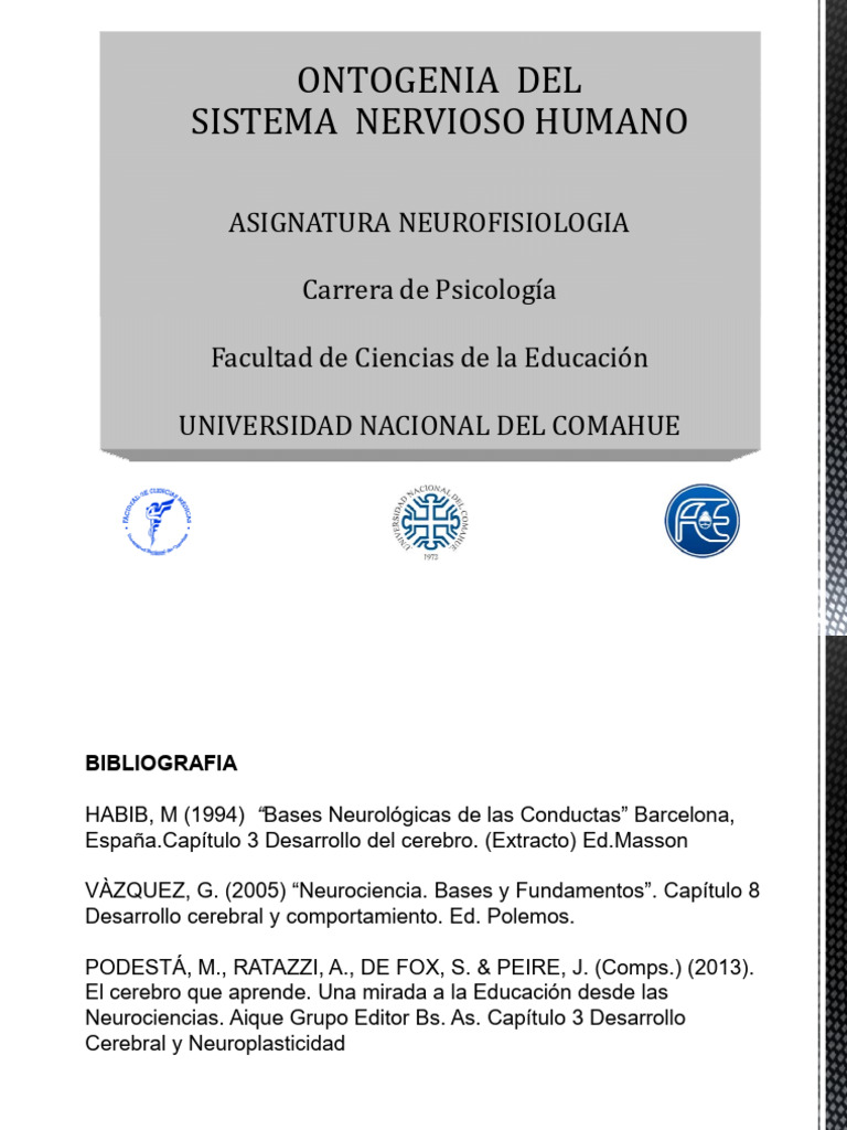 Ontogenia del SNH Neurofisiología 2022 | PDF | Cerebro | Neurociencia