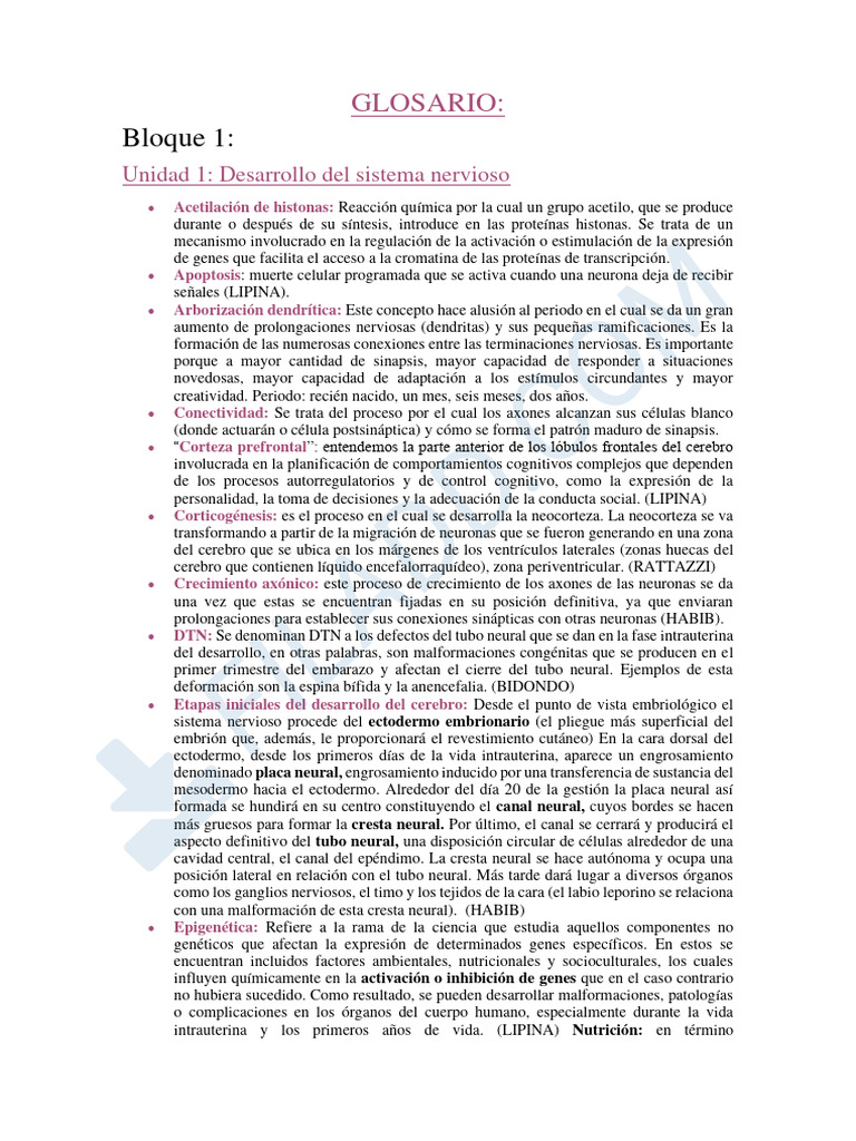 GLOSARIO Neuro Muy Bueno | PDF | Sinapsis | Sistema nervioso