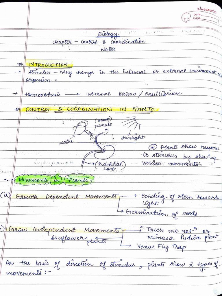 CH 2 Bio | PDF
