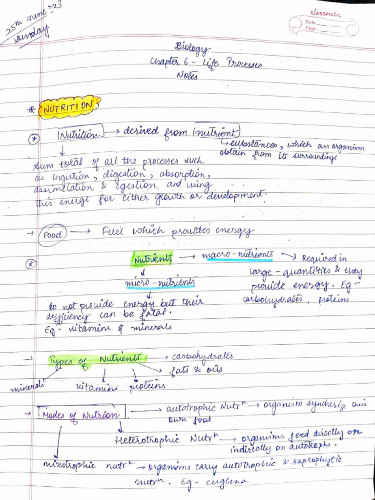 Bio Chapter 1 Notes | PDF