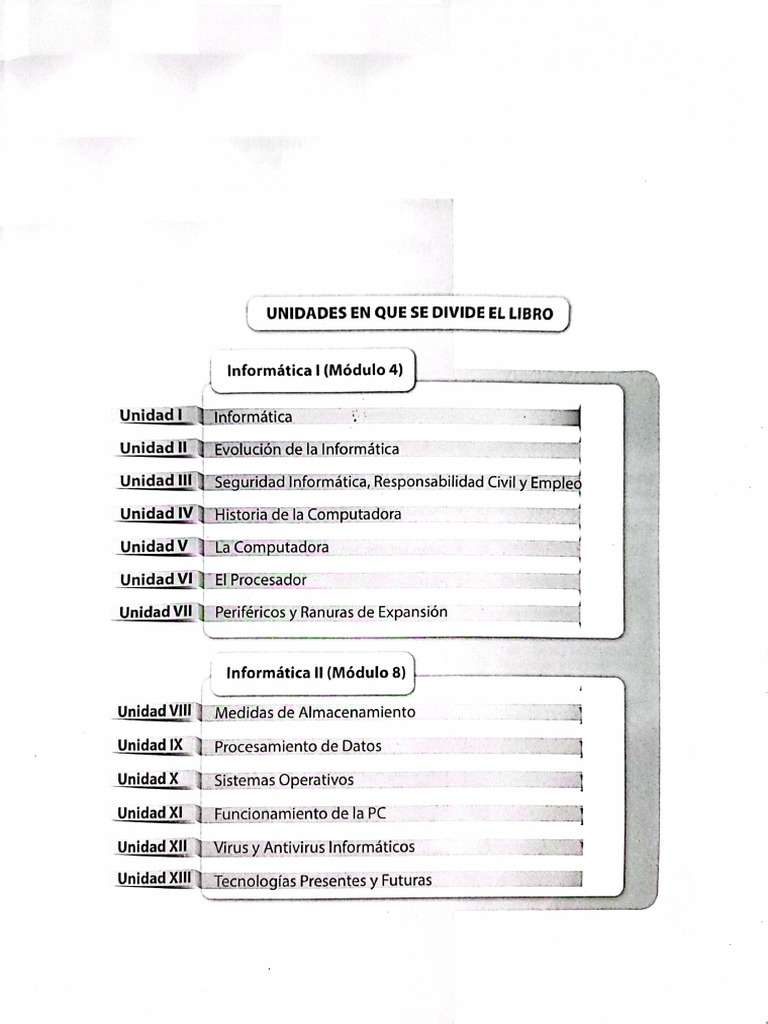 Libro de Informática | PDF