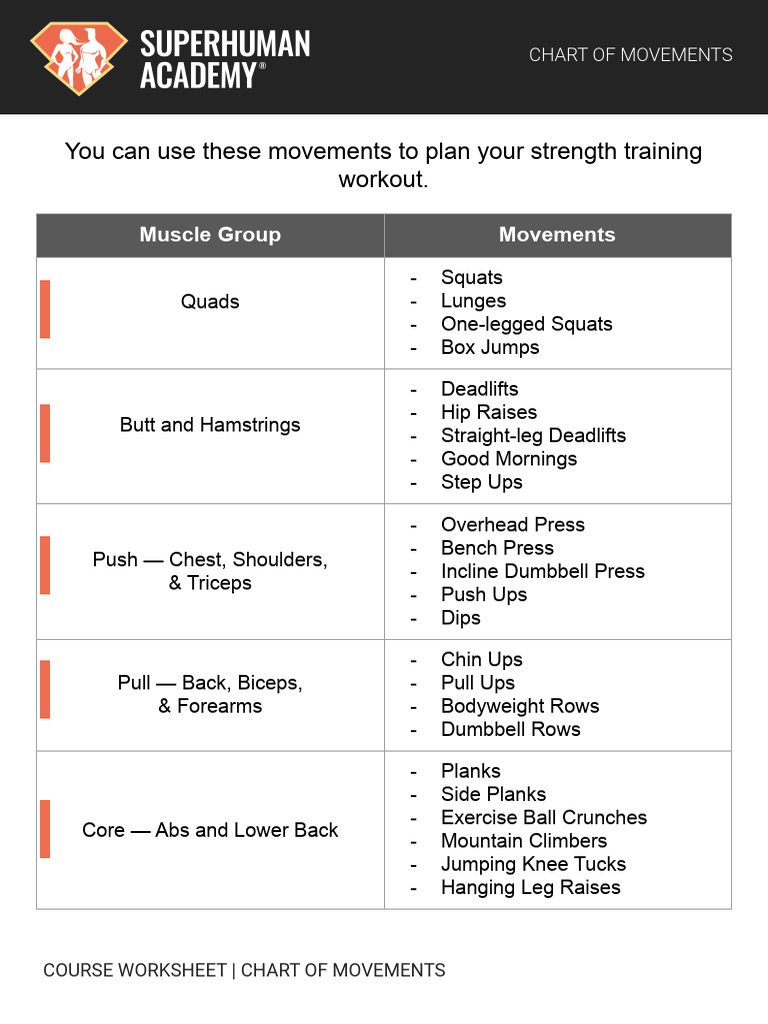 s07 E10 WORKSHEET - Chart of Exercises Worksheet | PDF