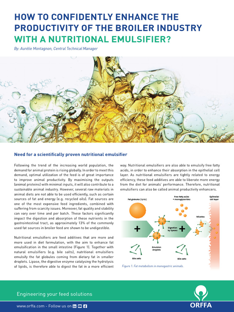 ORF240208 Publication Excential Energy Plus | PDF | Fat | Emulsion