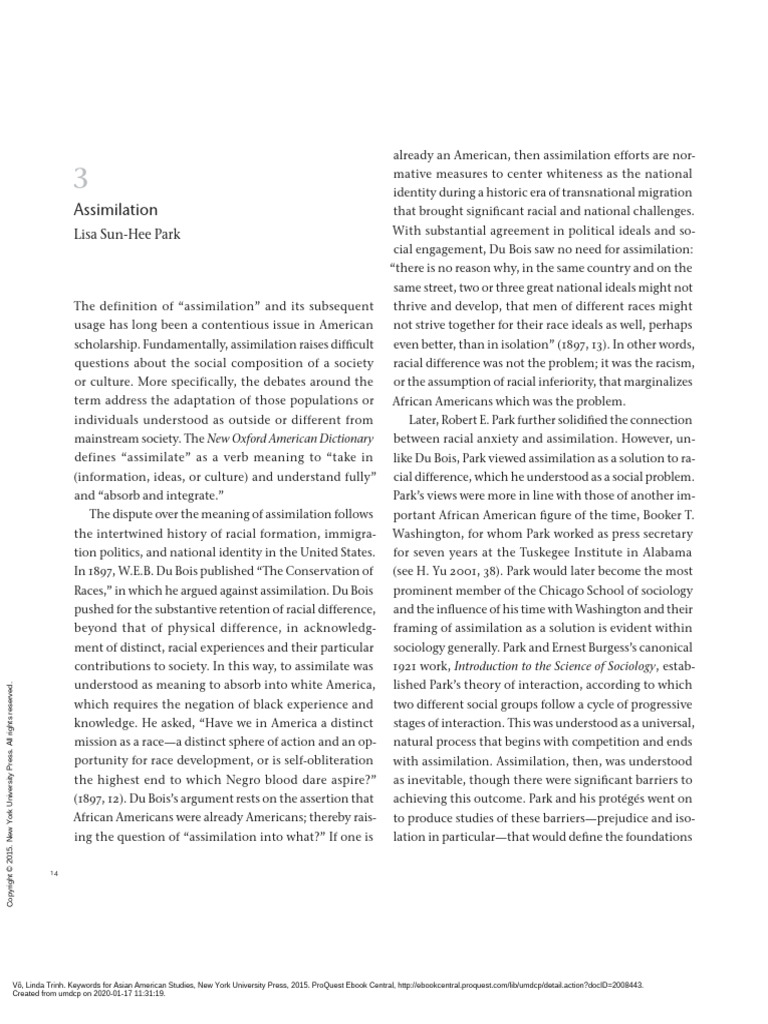 Rethinking Assimilation in America | PDF | Race (Human Categorization ...