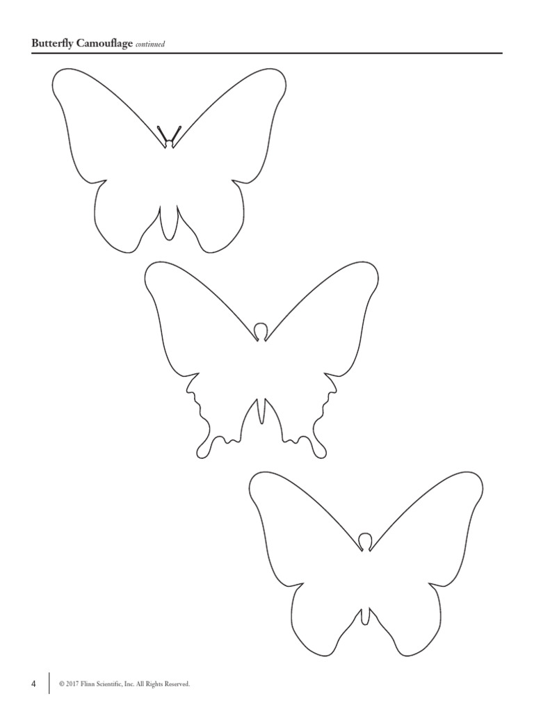 Butterfly Lab FLINN - Cutouts | PDF