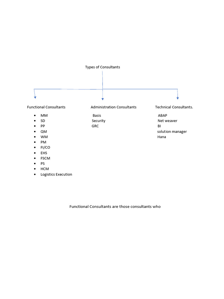 Types of SAP Consultants 1661320413 | PDF