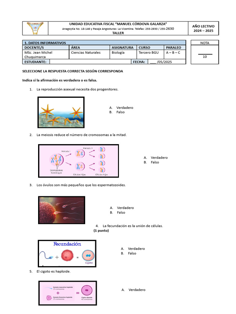 3RO BGU TALLER CUESTIONARIO.docx | PDF | Mitosis | Mitosis