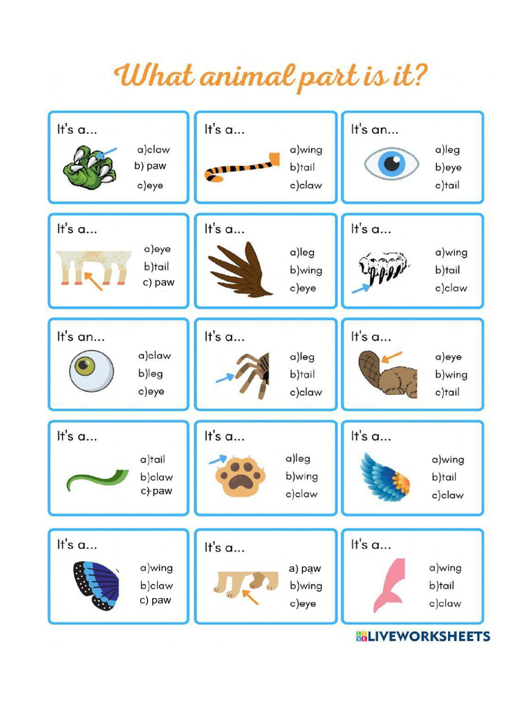 Animal's Body Parts | PDF