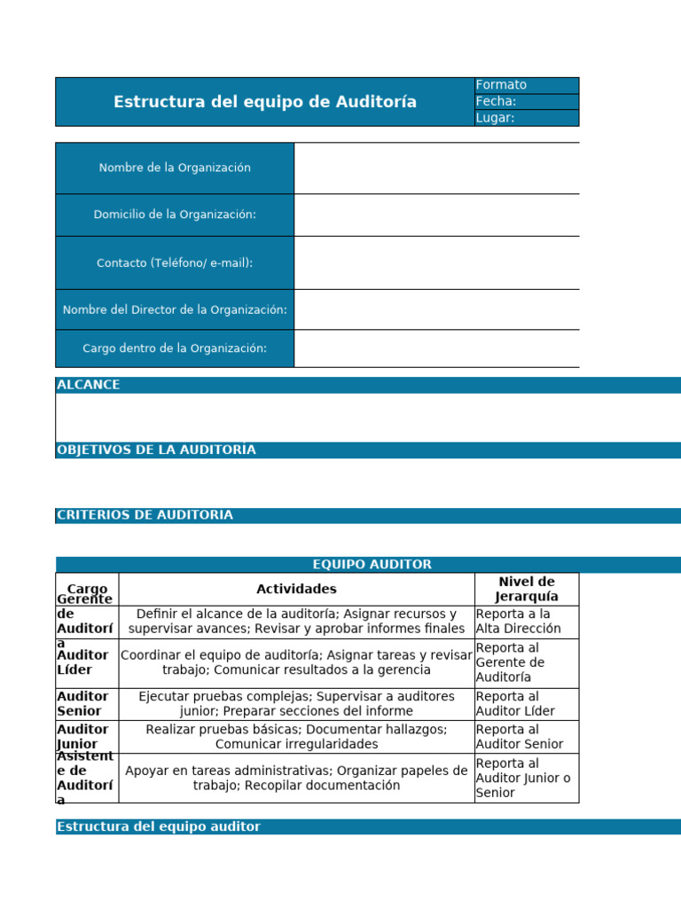 Cedula - Equipo de Auditoria y Responsabilidades | PDF | Auditoría | Auditoría financiera