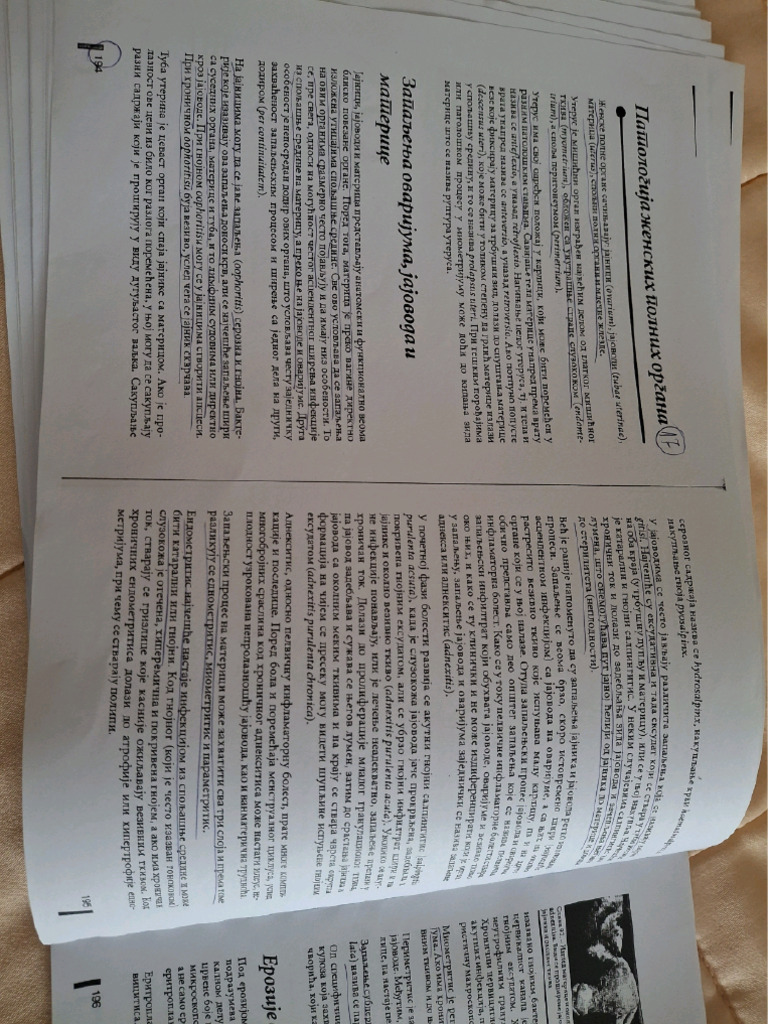 AllDocRD ImageToPDF 20250518 194513 | PDF