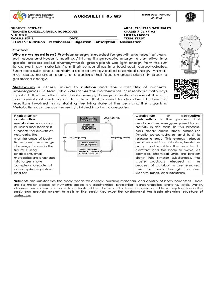 60225-2119057 1T Worksheet 1 Nutrition Metabolims 250208 133031 | PDF ...