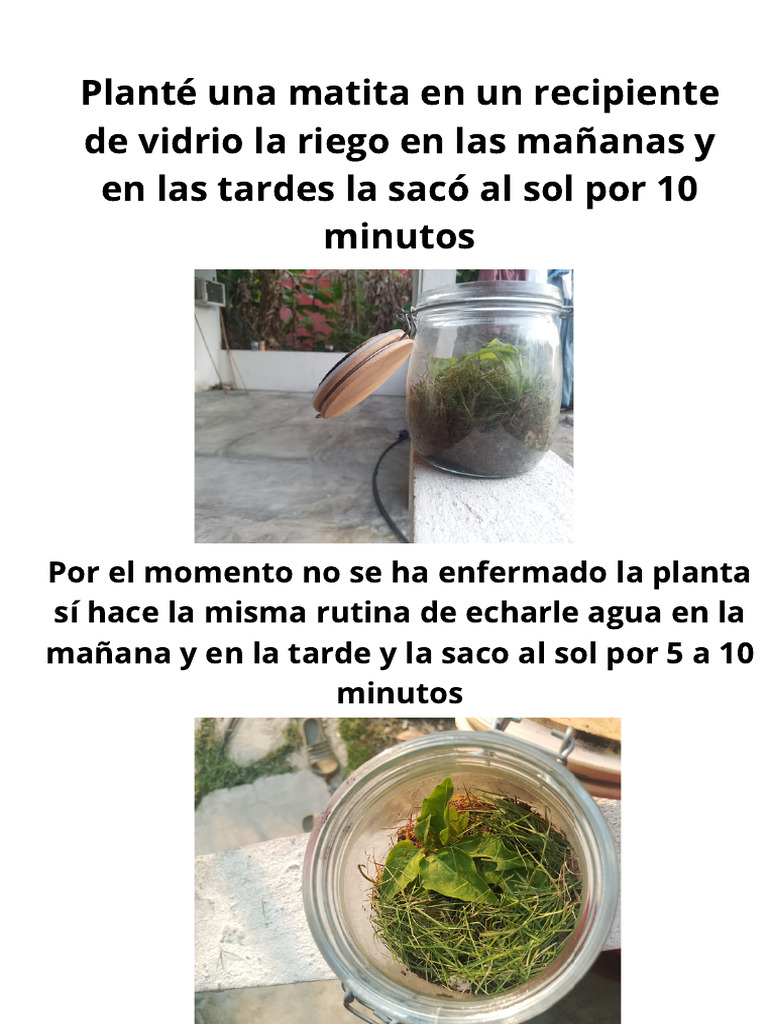 Mi Bitacora | PDF