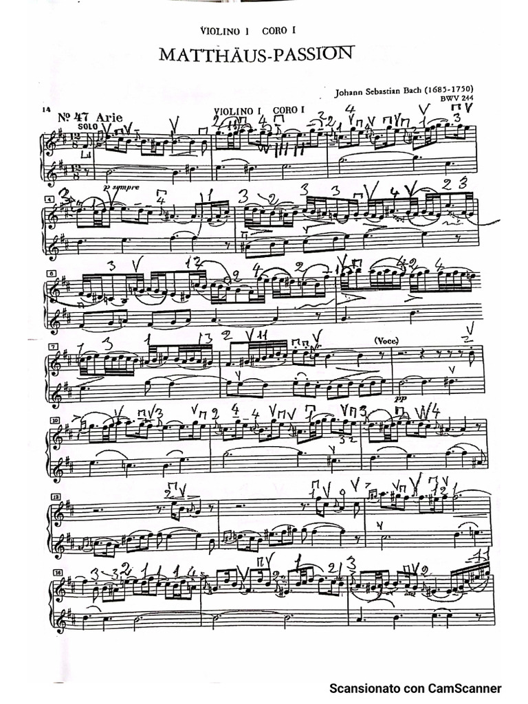 Passi Orchestrali Violino Audizioni | PDF