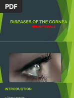 CCLRU Grading | PDF | Social Science