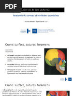 ANATOMIE DU TRACTUS OPTIQUE Zio | PDF | Thalamus | Système nerveux