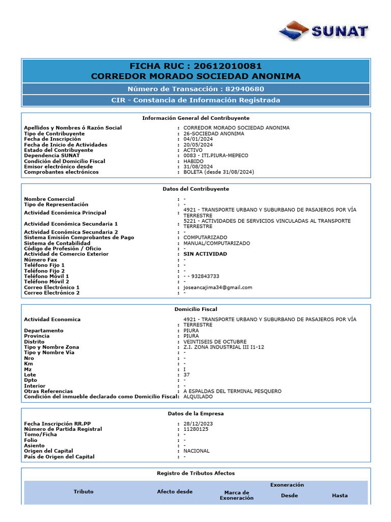Ficha Ruc-1 | PDF | Industrias de servicio | Economias