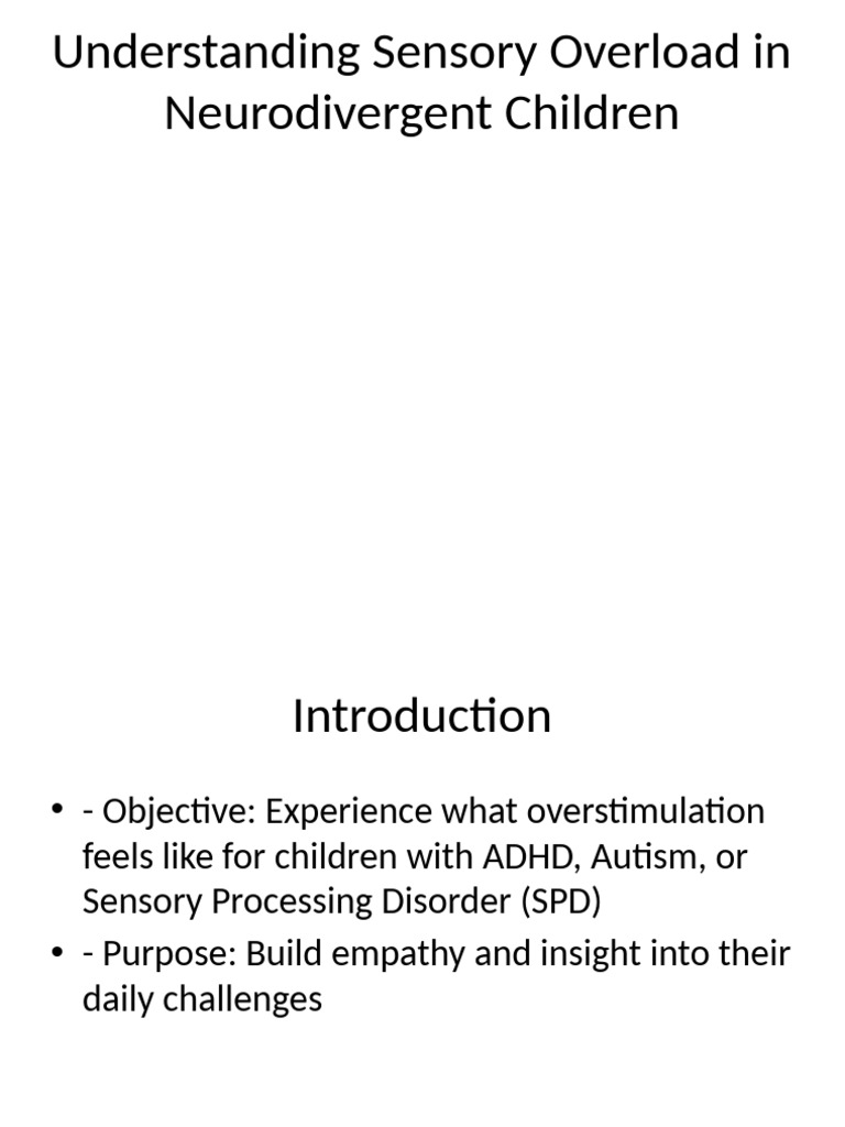 Sensory Overload Simulation Visual | PDF