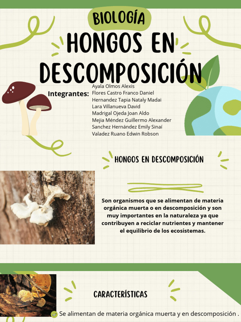 Hongos Descomponedores y su Importancia | PDF | Hongo | Descomposición