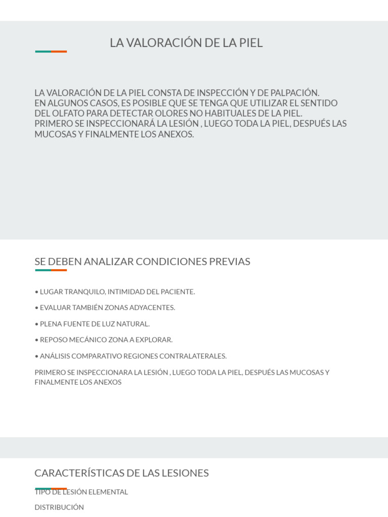 La Valoraci-N de La Piel | PDF