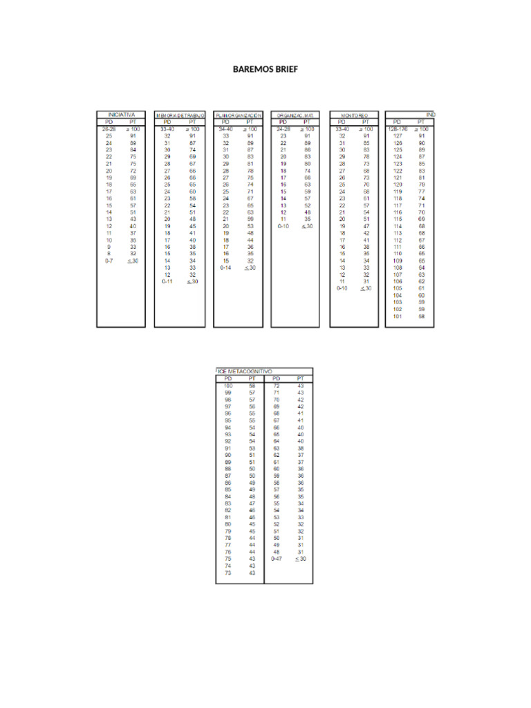 Baremos Brief | PDF