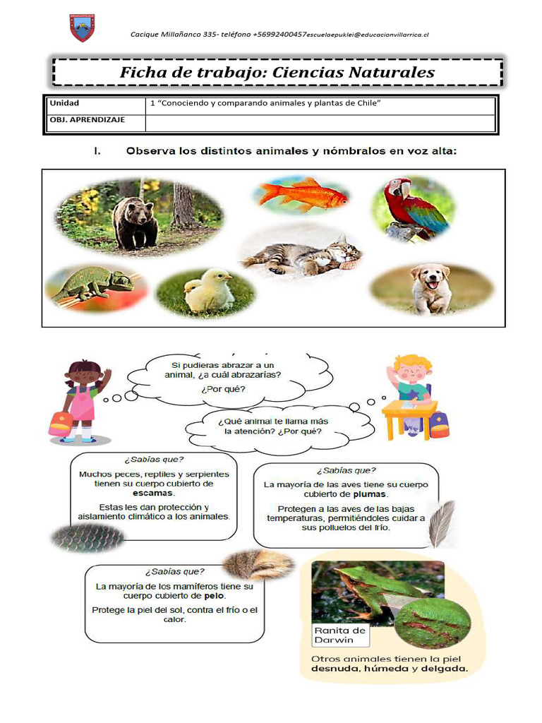 Ficha Animales Cubierta Corporal | PDF