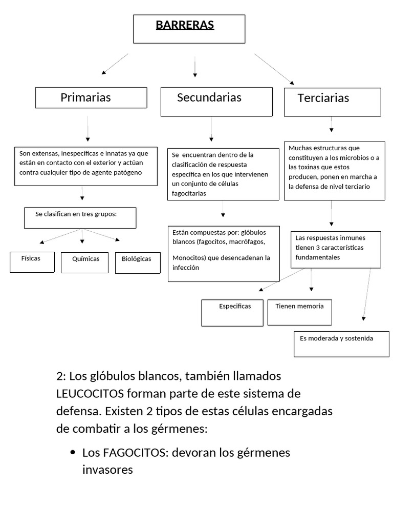 Biologia Cami | PDF
