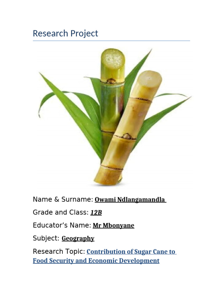Sugar Cane's Role in Food Security | PDF | Agriculture | Sugarcane