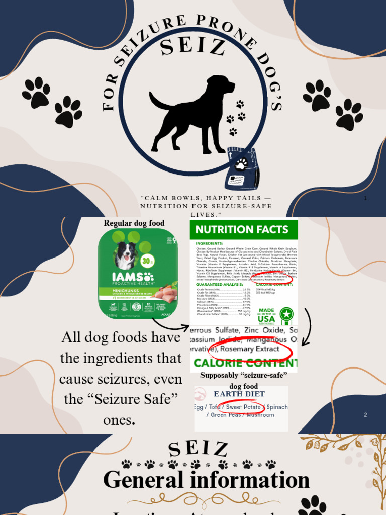 Kayla Oslejsek & Maddie Rucker - Four Factors of Production | PDF