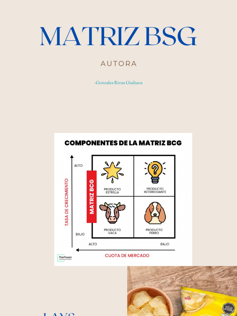 Matriz BCG | PDF