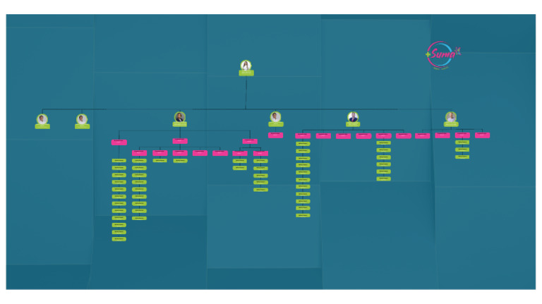 Brown Purple Professional Structure Organization Graph | PDF