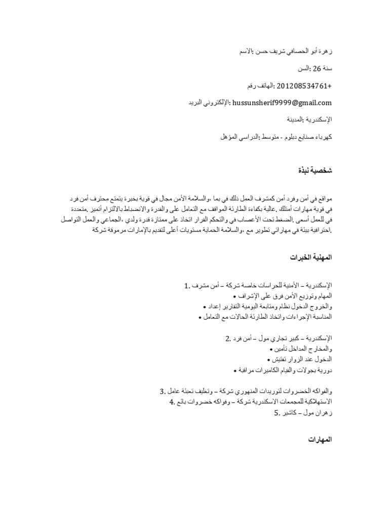 CV_Hassan_Security_ | PDF